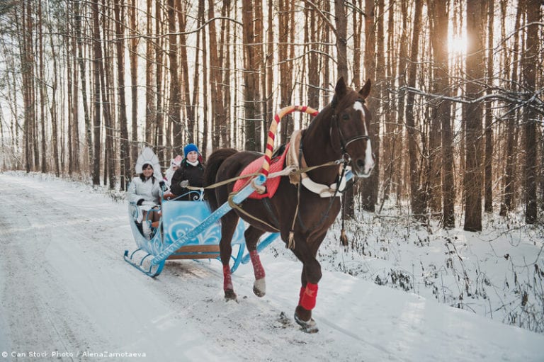 Take An Old Fashion Sleigh Ride and Create Family Memories To Last A ...